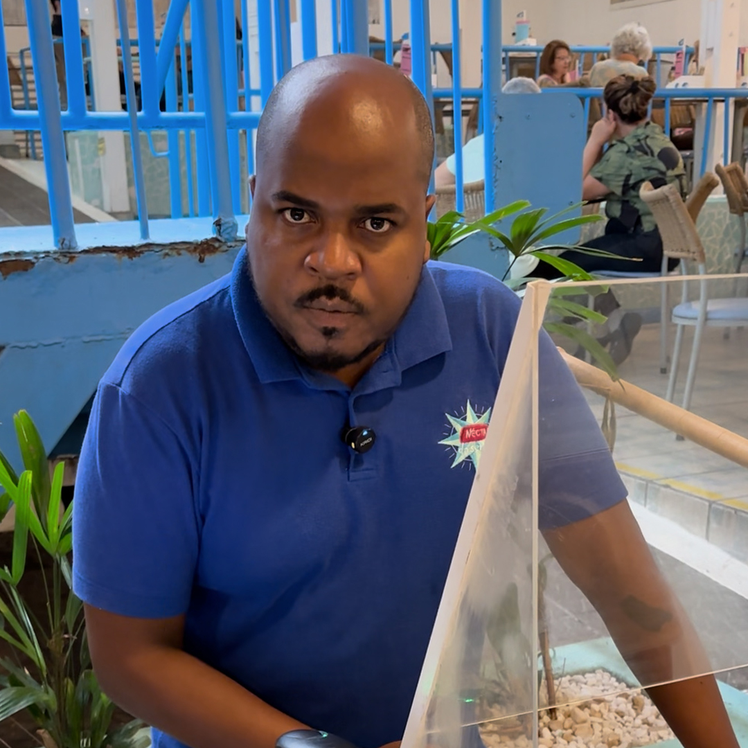 PDV Legal - Sistema de Gestão Completo